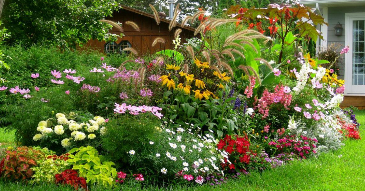 Flowerbed Maintenance - Roper Lawn Care